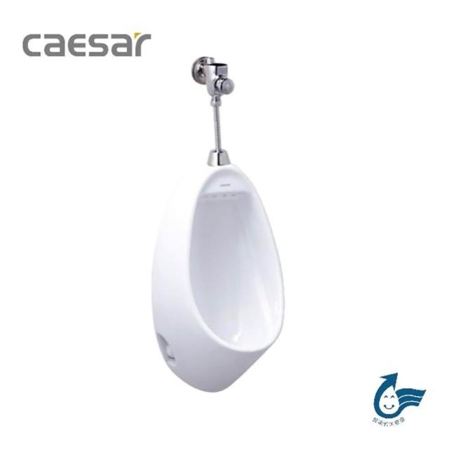 【CAESAR 凱撒衛浴】指壓沖水壁掛便斗 小便斗 U0221(小便斗) - momo購物 - 2024年09月