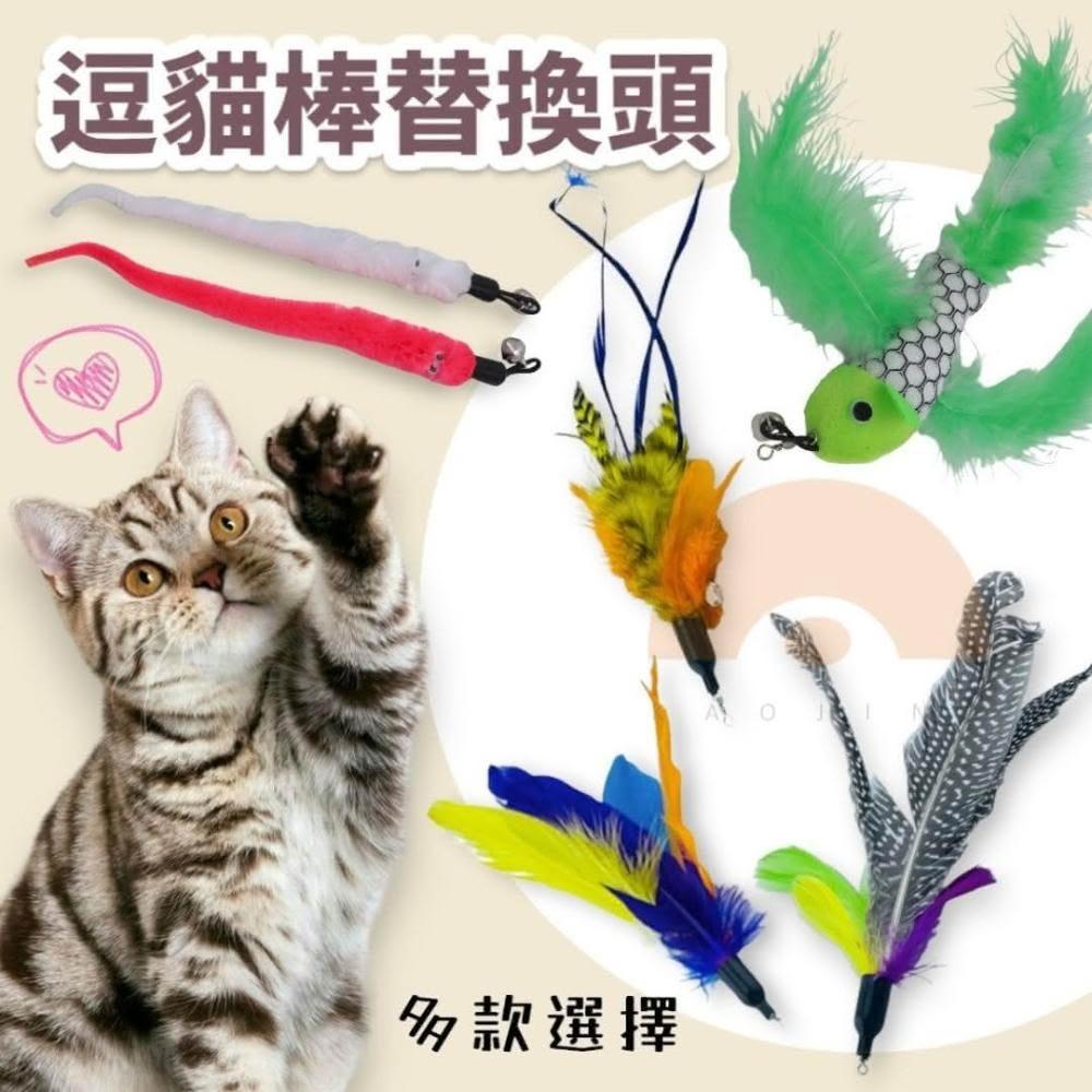 【Kao jing 高精】逗貓棒替換頭.飛魚.毛毛蟲.羽毛(5種替換頭套組)