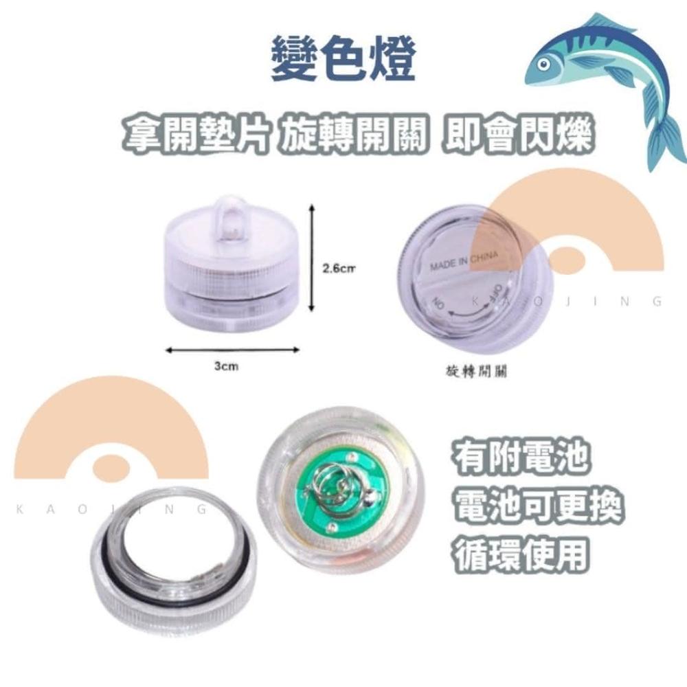 【Kao jing 高精】魚缸變色燈(寵物盒 微型生態觀賞 立方缸)