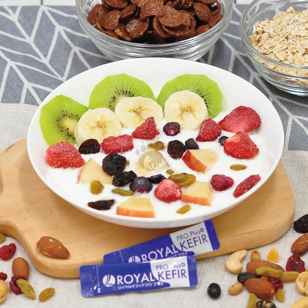 【ROYAL KEFIR PRO】樂齡生醫 日本 克菲爾鮮奶優格種菌1gx10包(3袋+620ml保鮮盒*1個) 自製優格