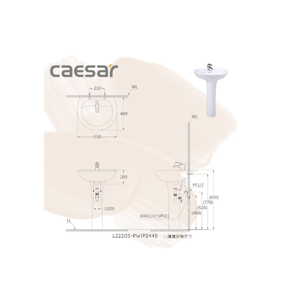 【CAESAR 凱撒衛浴】單孔面盆 壁掛面盆L2220S-PW 搭配長/短瓷腳(面盆)