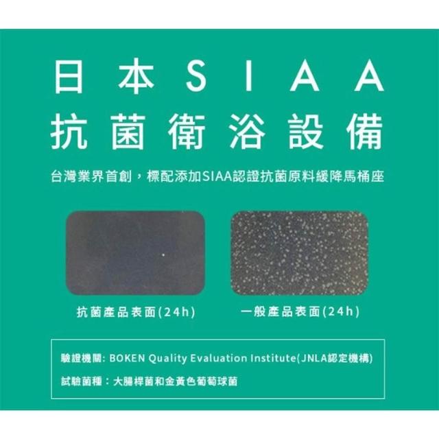 【CAESAR 凱撒衛浴】馬桶蓋 M220-PW 白色馬桶蓋