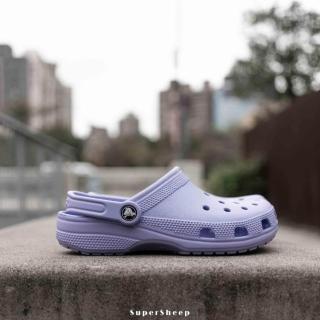 【Crocs】Crocs 卡駱馳 經典克駱格 懶人鞋 女鞋 紫 10001-5BN