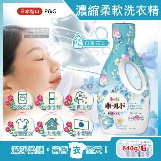 【ARIEL】日本P&G Bold-超濃縮強洗淨柔軟香氛洗衣精-白葉花香640g/水藍瓶(持香約24小時香氛除臭室內晾曬花全效洗劑消臭護衣洗衣劑直立式滾筒式洗衣機皆適用)