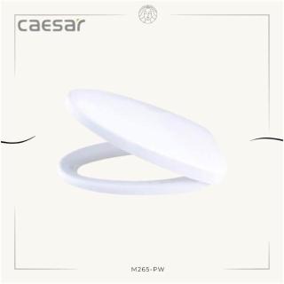 【CAESAR 凱撒衛浴】抗菌馬桶蓋 緩降馬桶蓋 CF1650專用馬桶蓋 M265-PW